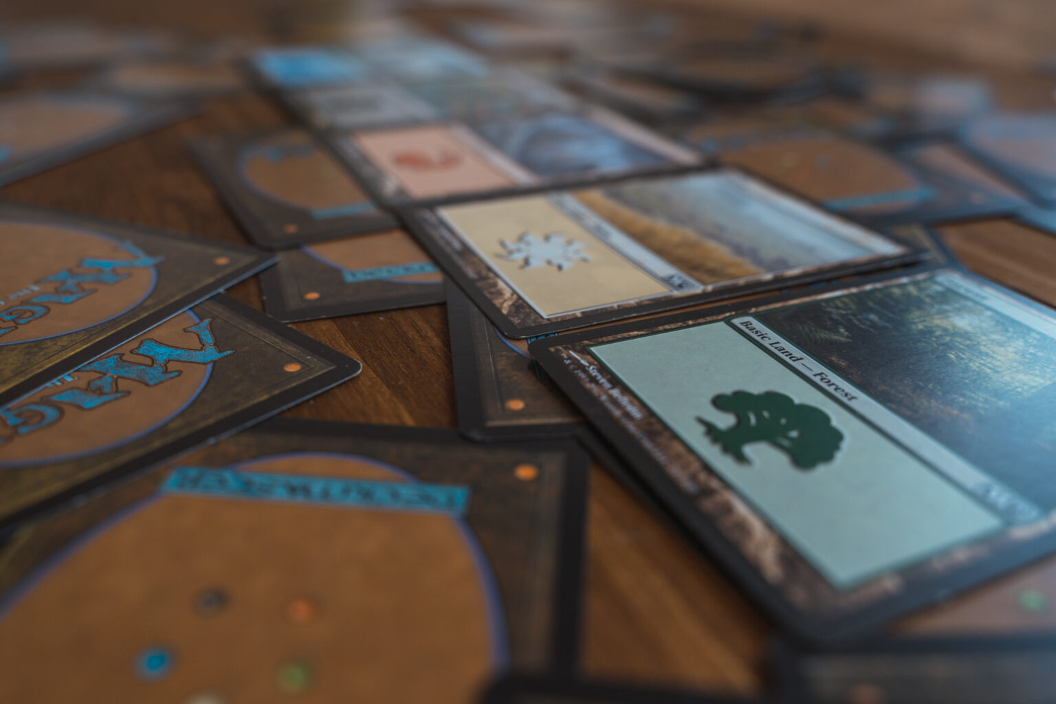 How to Sort Your MTG Cards - Magic Card Investor